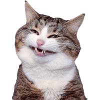 Discord Sticker Packs