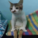 waiting Discord Sticker