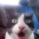 Shock - Sticker Pack