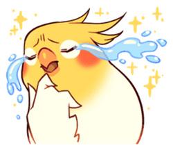 Bird Tears Discord Sticker