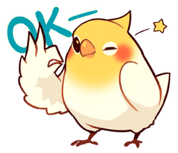 Bird Ok Discord Sticker