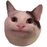 Cute Cat #10 Discord Sticker