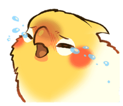 Bird Upset4 - Discord Sticker