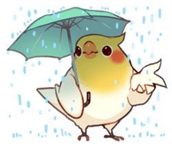 Bird Rain Discord Sticker