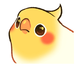 Bird Upset Discord Sticker