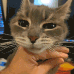 chin scratch Discord Sticker