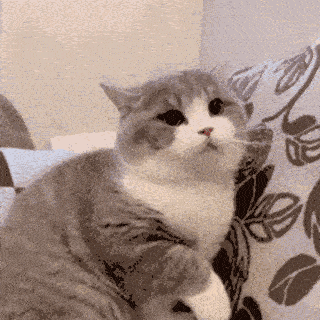 STFU Discord Sticker