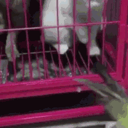 I agree Discord Sticker