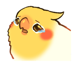 Bird Upset3 Discord Sticker
