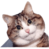 Cute Cat #3 Discord Sticker