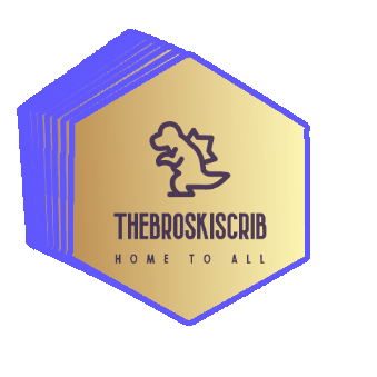 Bro Discord Stickers