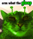 what the gleep Discord Sticker