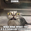 Call Discord Stickers