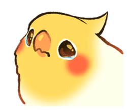 Set Discord Stickers