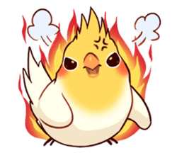 Bird Mad Discord Sticker