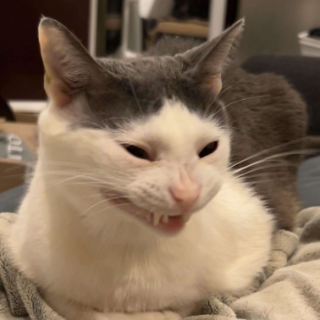 EEK! Discord Sticker