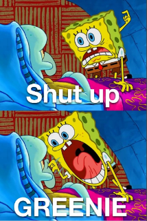 Shut up Greenie Discord Sticker