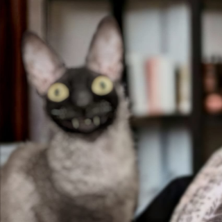 Pixel Discord Stickers