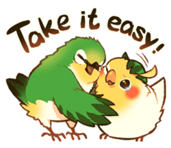 Bird Takeiteasy Discord Sticker