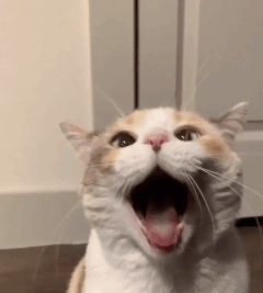 YOOOOOO Discord Sticker