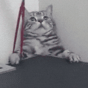 busted !!! 😭😭😭💔 Discord Sticker