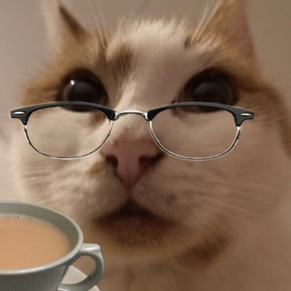 Cat Discord Stickers